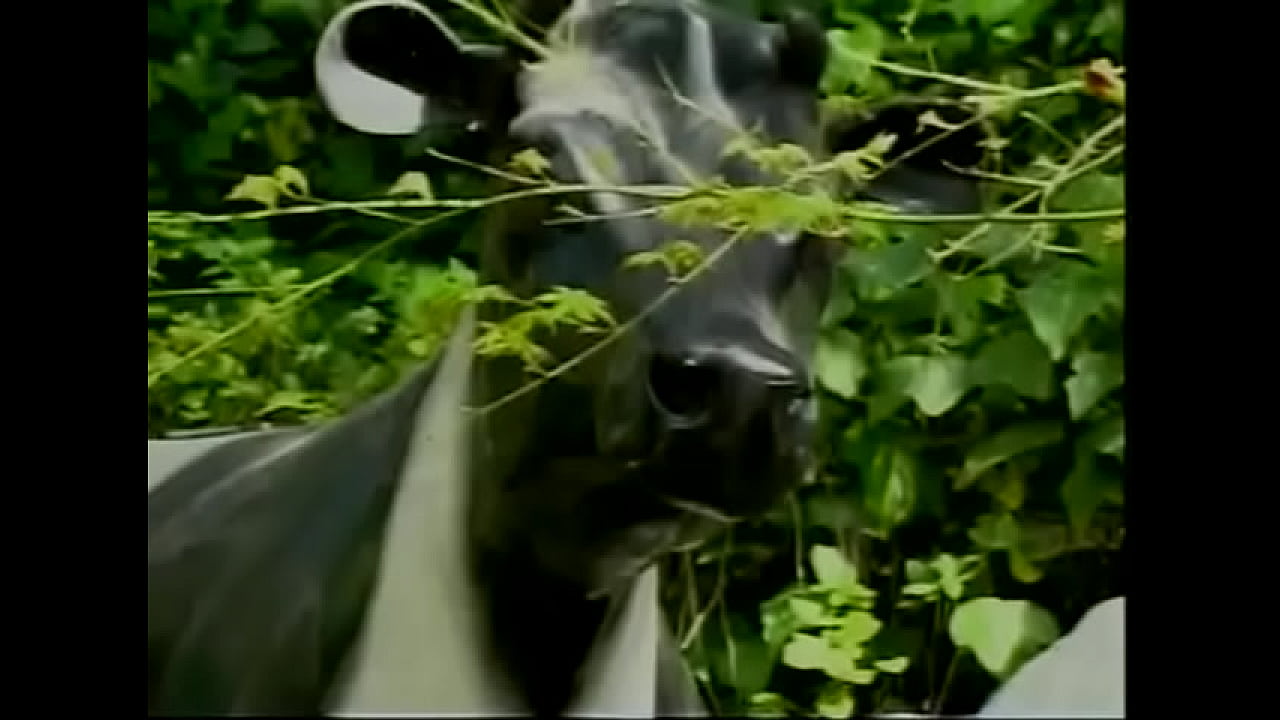 X Cuts Before They Were Superstars 02 Full Movie - Binorsemok